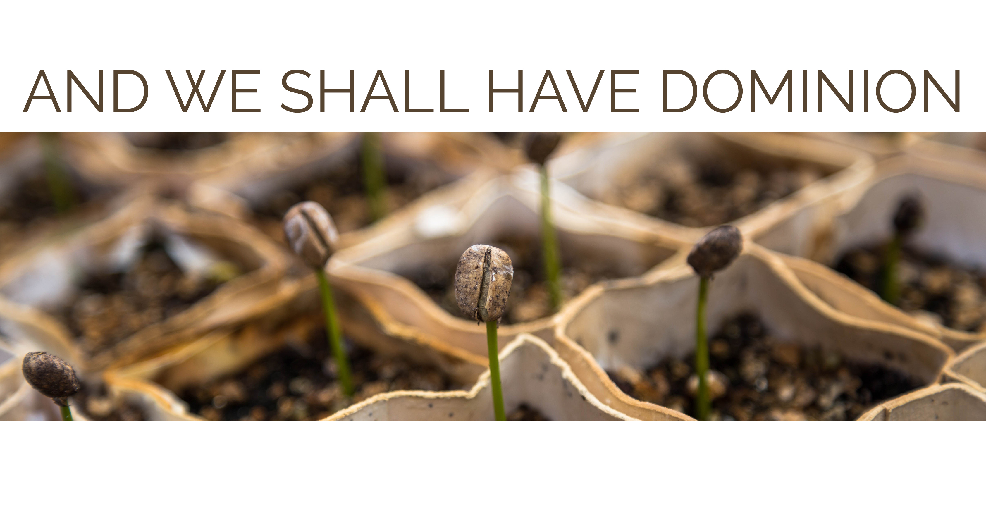 And We Shall Have Dominion - Christ Church