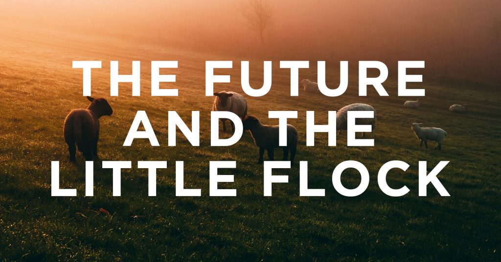 The Future and the Little Flock - Christ Church