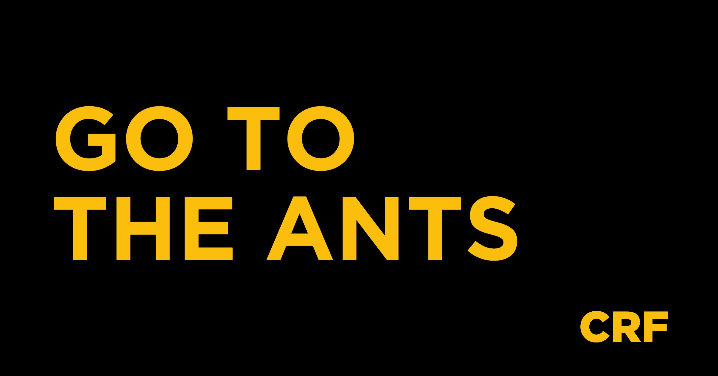 Go to the Ants - Christ Church